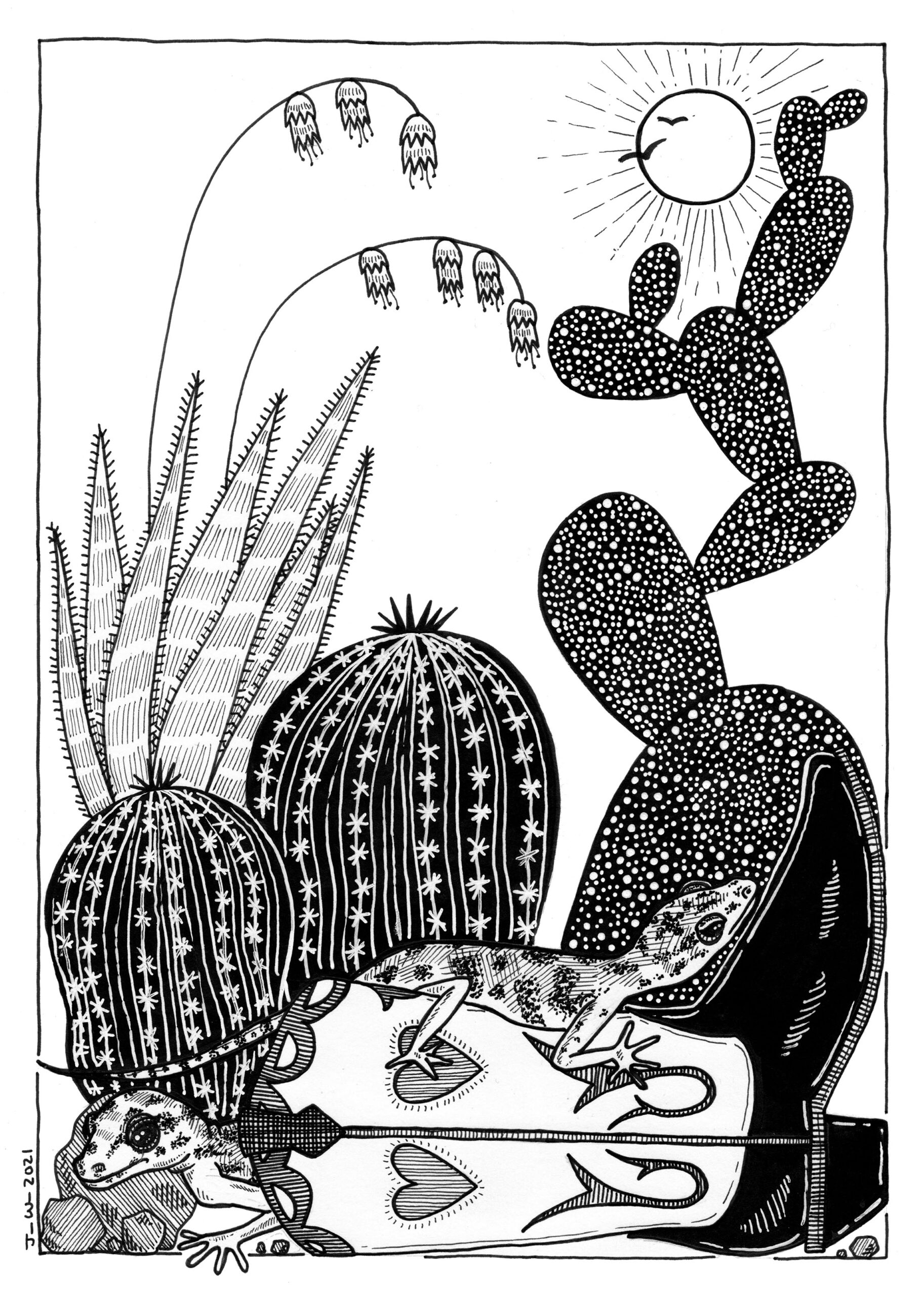 Illustrations • Julia Wald