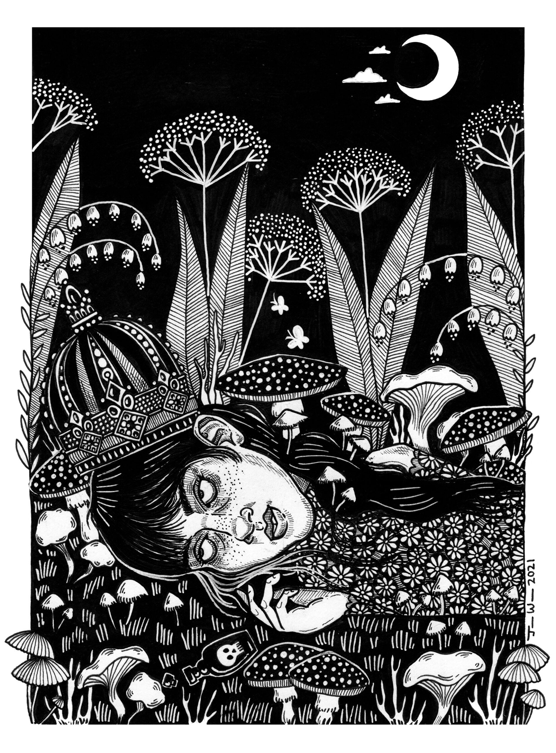 Illustrations • Julia Wald