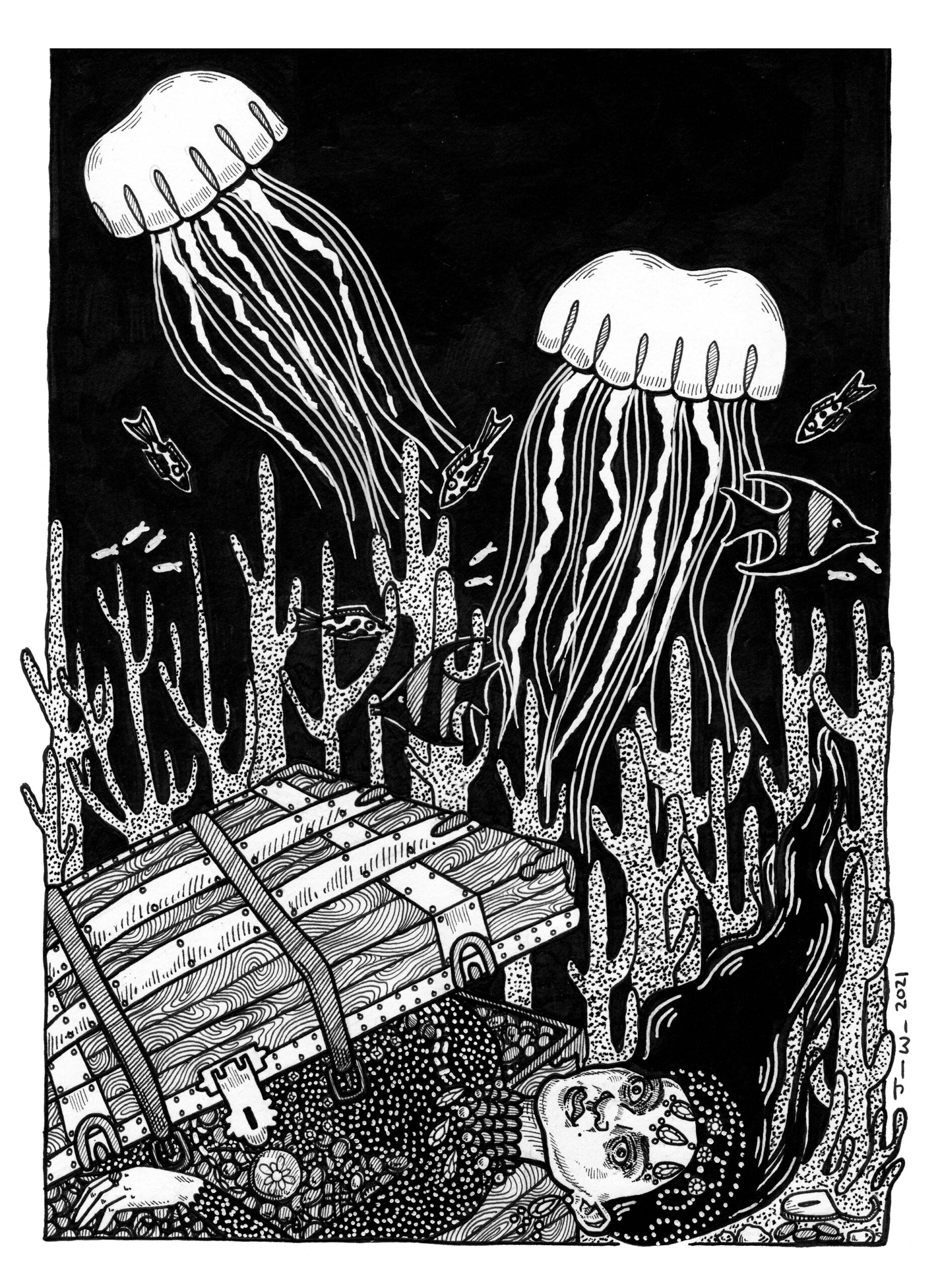 Illustrations • Julia Wald